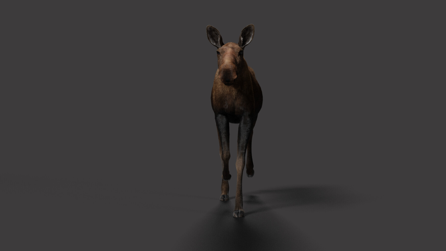 ArtStation - Moose Female Animated | VFX Grace | Game Assets