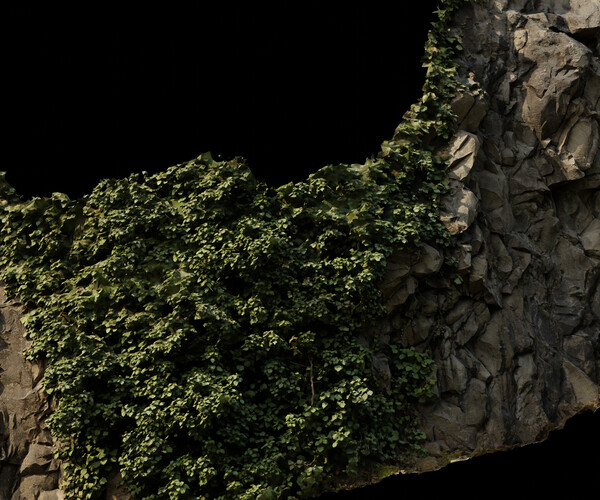 ArtStation - Realistic Cliff Face & Rock Asset Pack | Resources