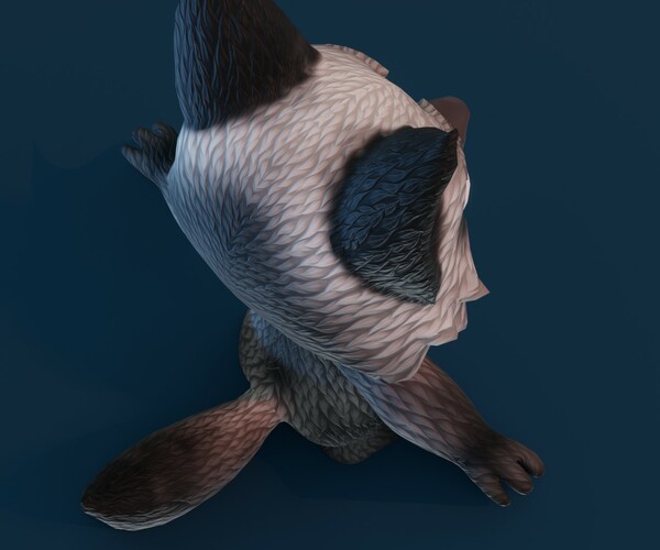 ArtStation - Cartoon Silver Fox Animated 3D Model | Game Assets