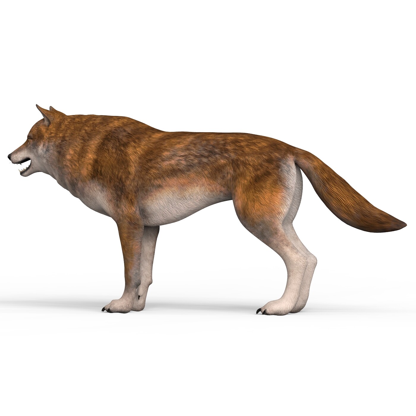 ArtStation - Red Wolf | Resources