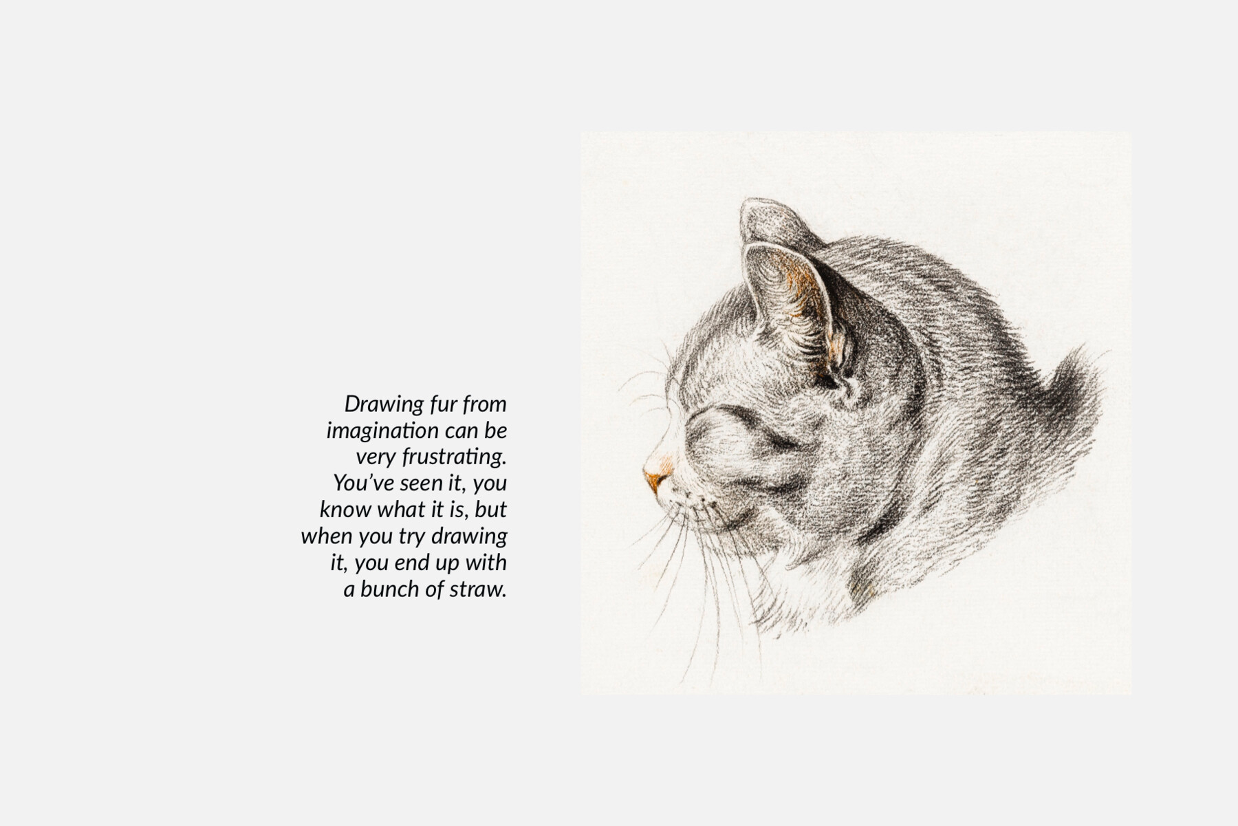 ArtStation - Animal Fur (Graphite Pencil) Procreate Kit | Brushes