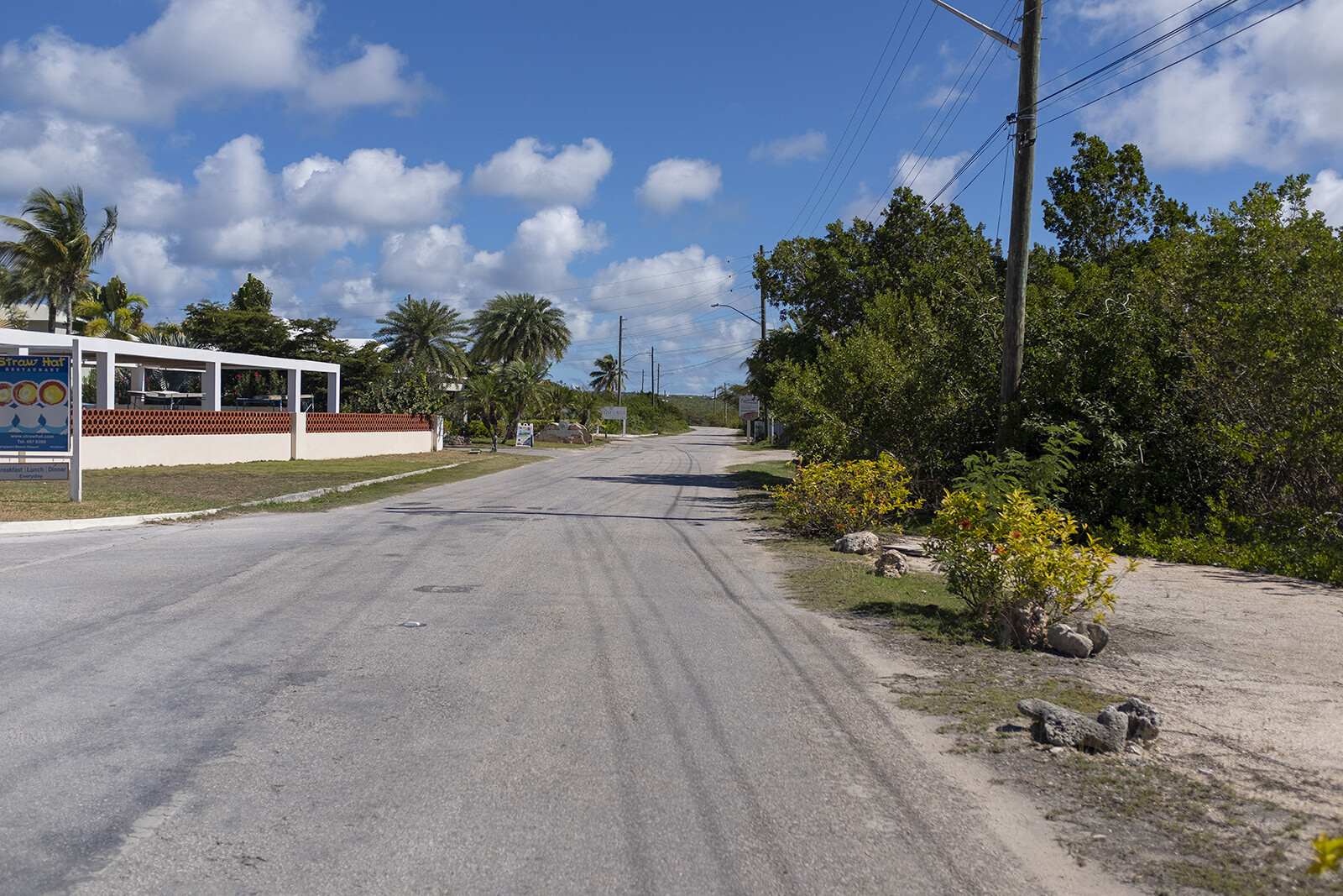 ArtStation - Tropical Island References | Resources