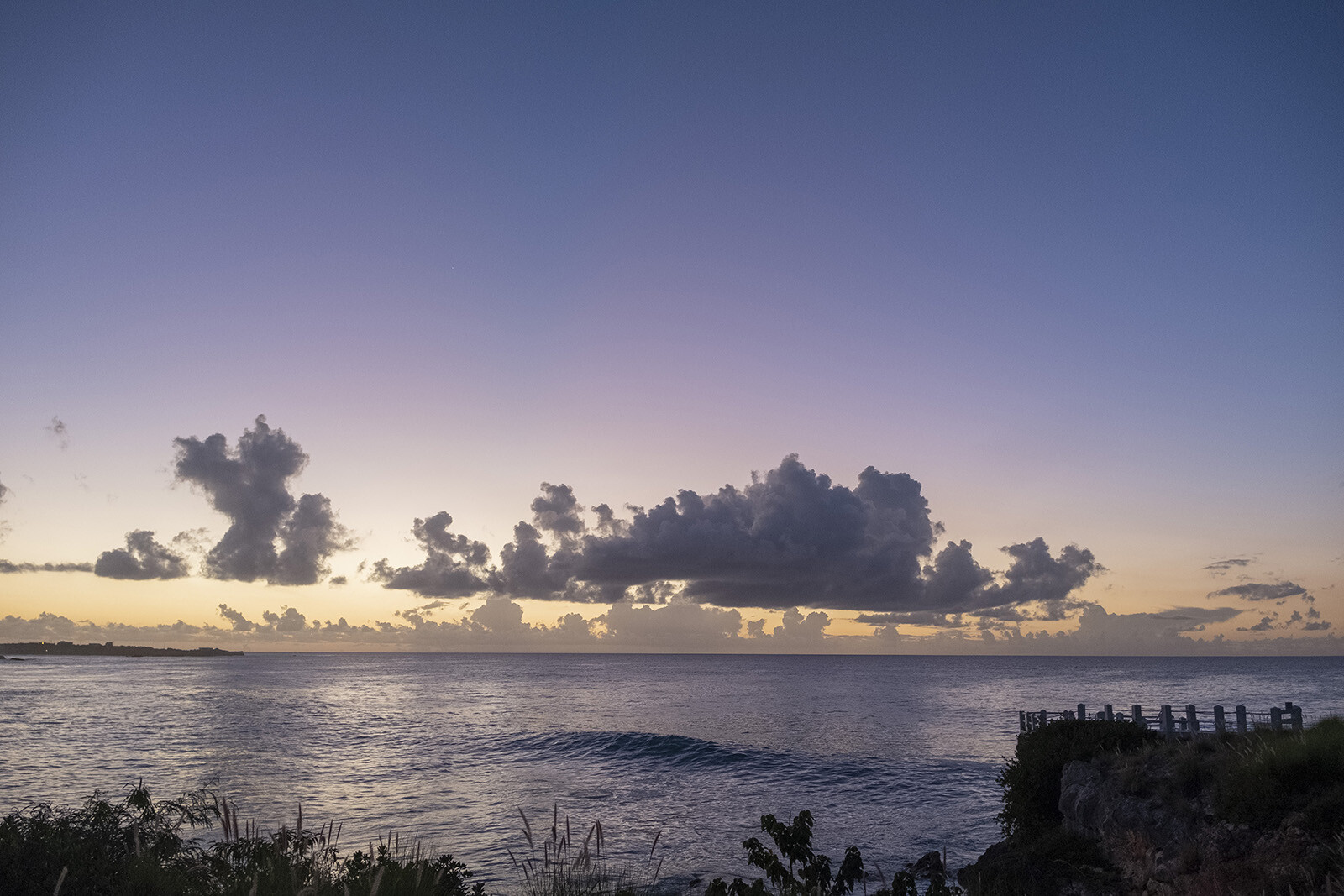 ArtStation - Tropical Island References | Resources