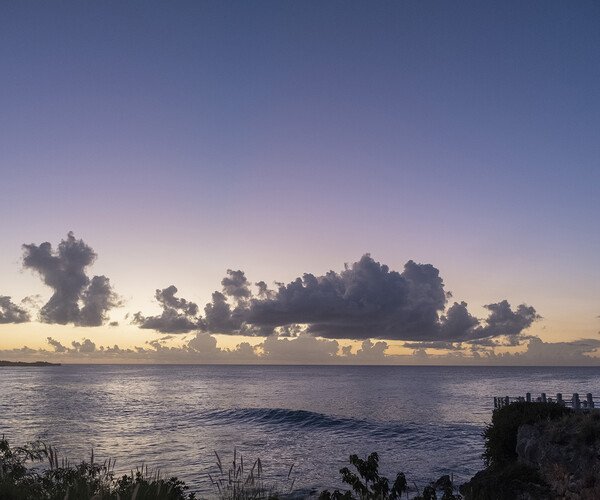 ArtStation - Tropical Island References | Resources