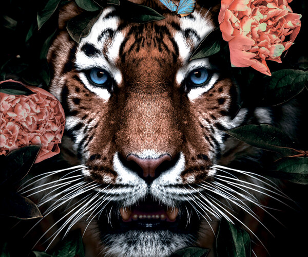 ArtStation - TIGER digital art ready to print | Artworks