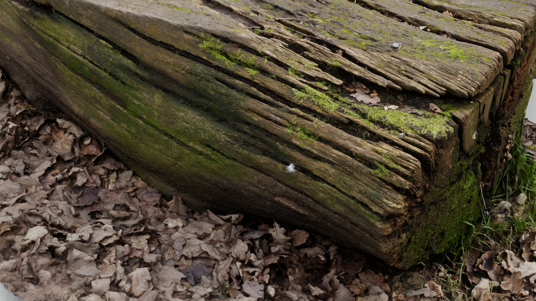 ArtStation - Tree Bench Photogrammetry | Game Assets