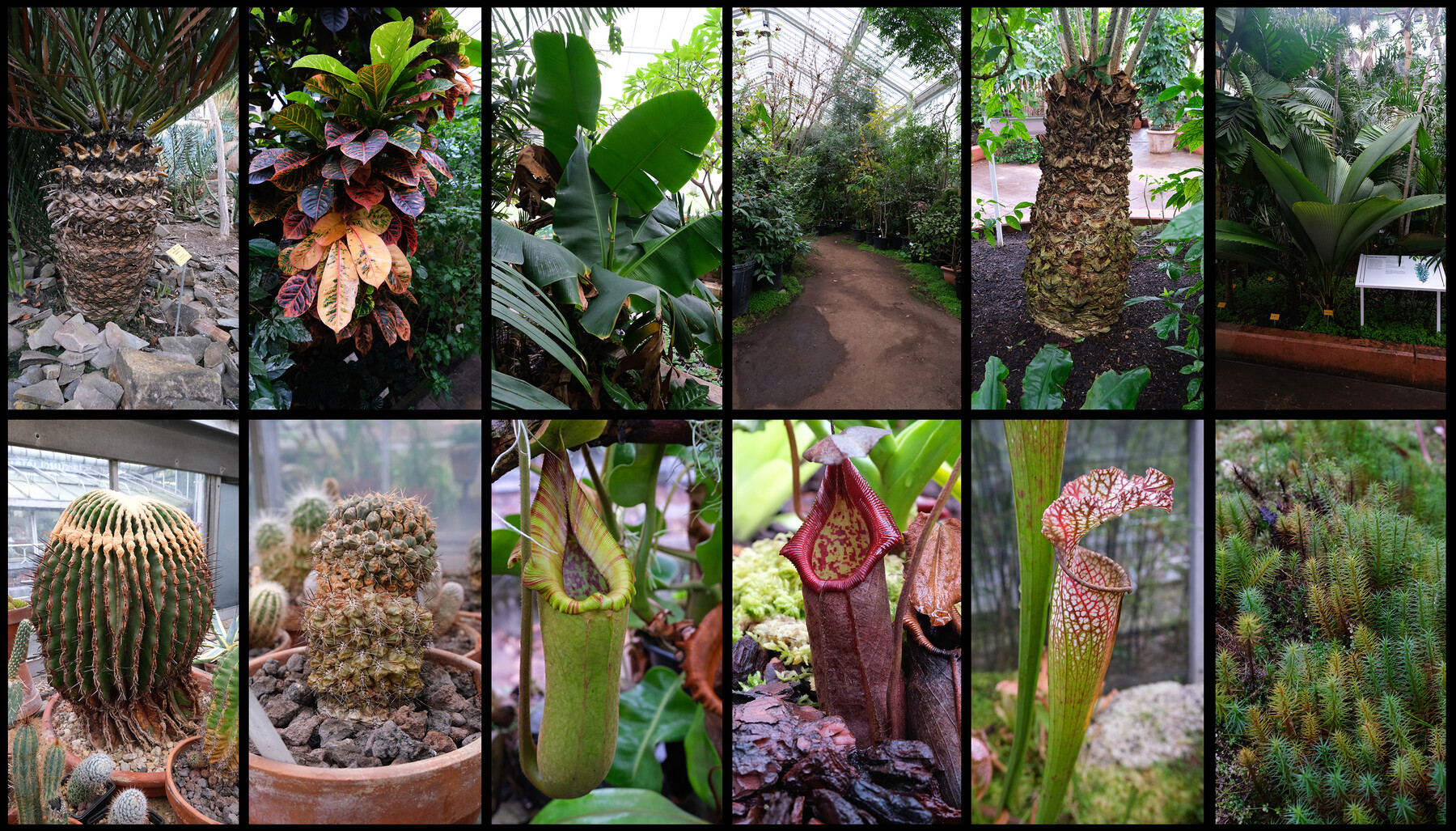 ArtStation - 1100+ Botanical Garden Reference Pictures Ultrapack ...