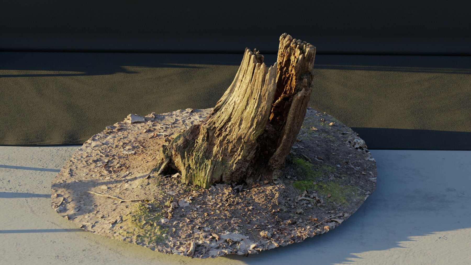 ArtStation - Split Tree Stump Photogrammetry | Game Assets