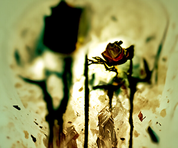 ArtStation - A dead rose.. | Artworks