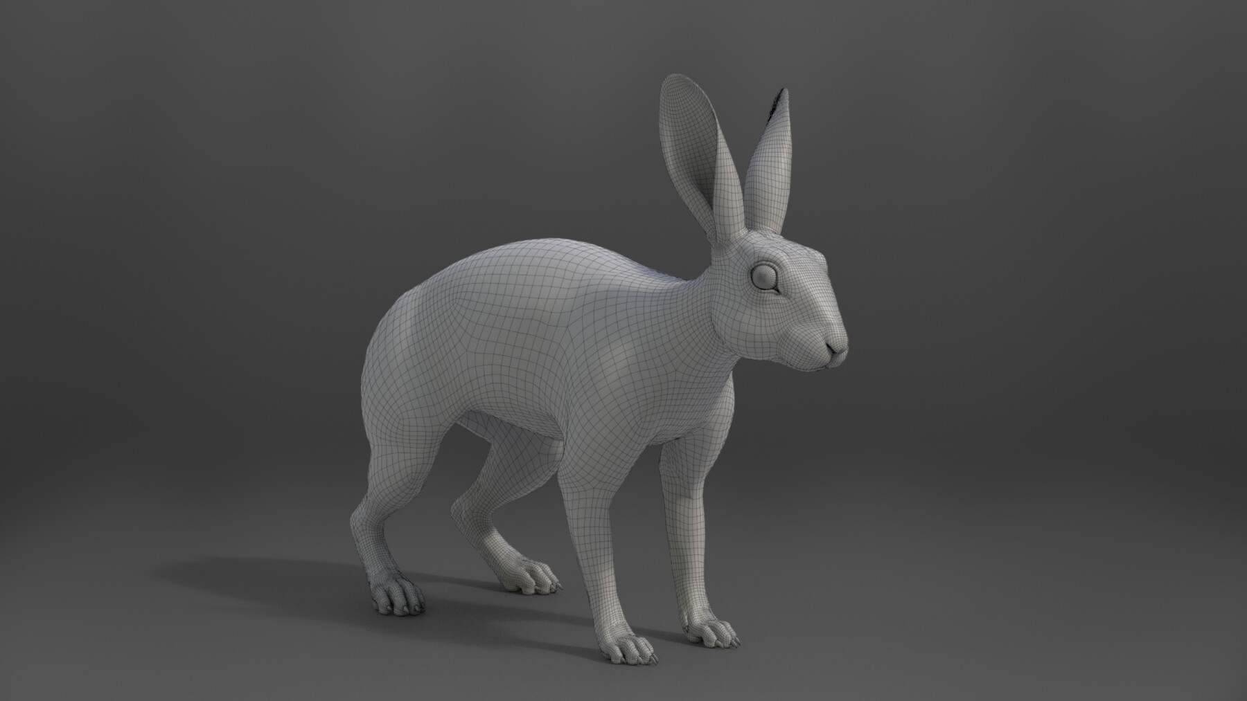 ArtStation - White rabbit Animated | VFX Grace | Game Assets