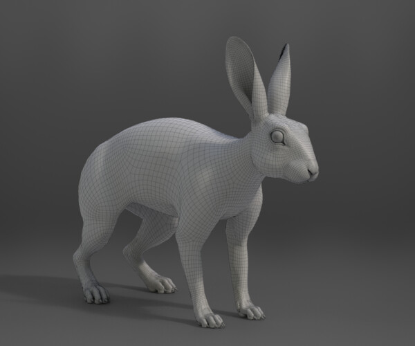 ArtStation - White rabbit Animated | VFX Grace | Game Assets