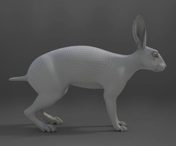 ArtStation - White rabbit Animated | VFX Grace | Game Assets