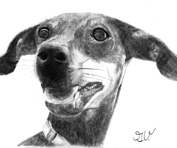 ArtStation - Fundamentals of Realistic Pencil Drawing | Tutorials