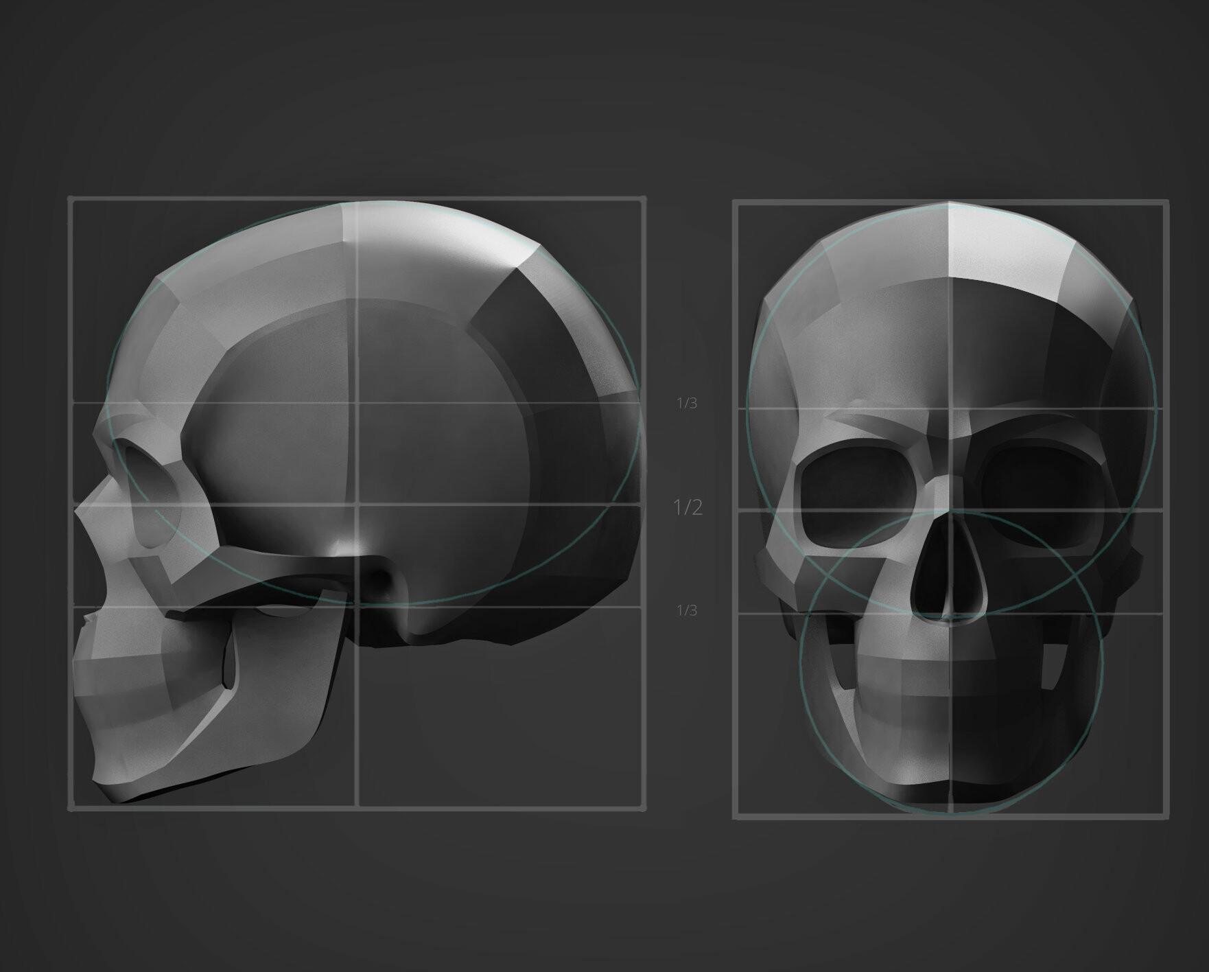 ArtStation - Planes of the Human Skull | Resources