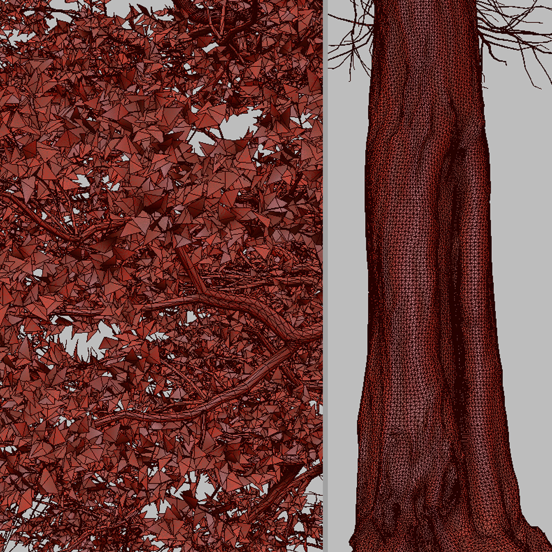 ArtStation - Set of Terminalia sericea Tree ( Silver cluster leaf ) (2 ...