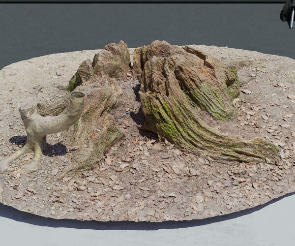 ArtStation - Tree Stump Low Photogrammetry | Game Assets