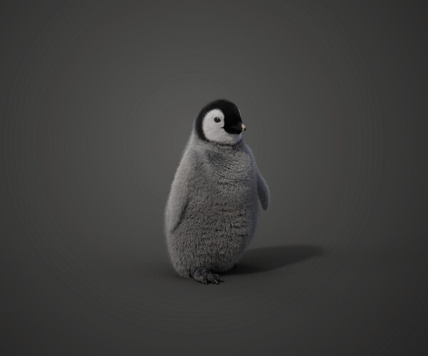 ArtStation - Baby Emperor Penguin Animated | VFX Grace | Game Assets