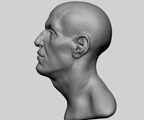 ArtStation - Male Head Anatomy | Resources
