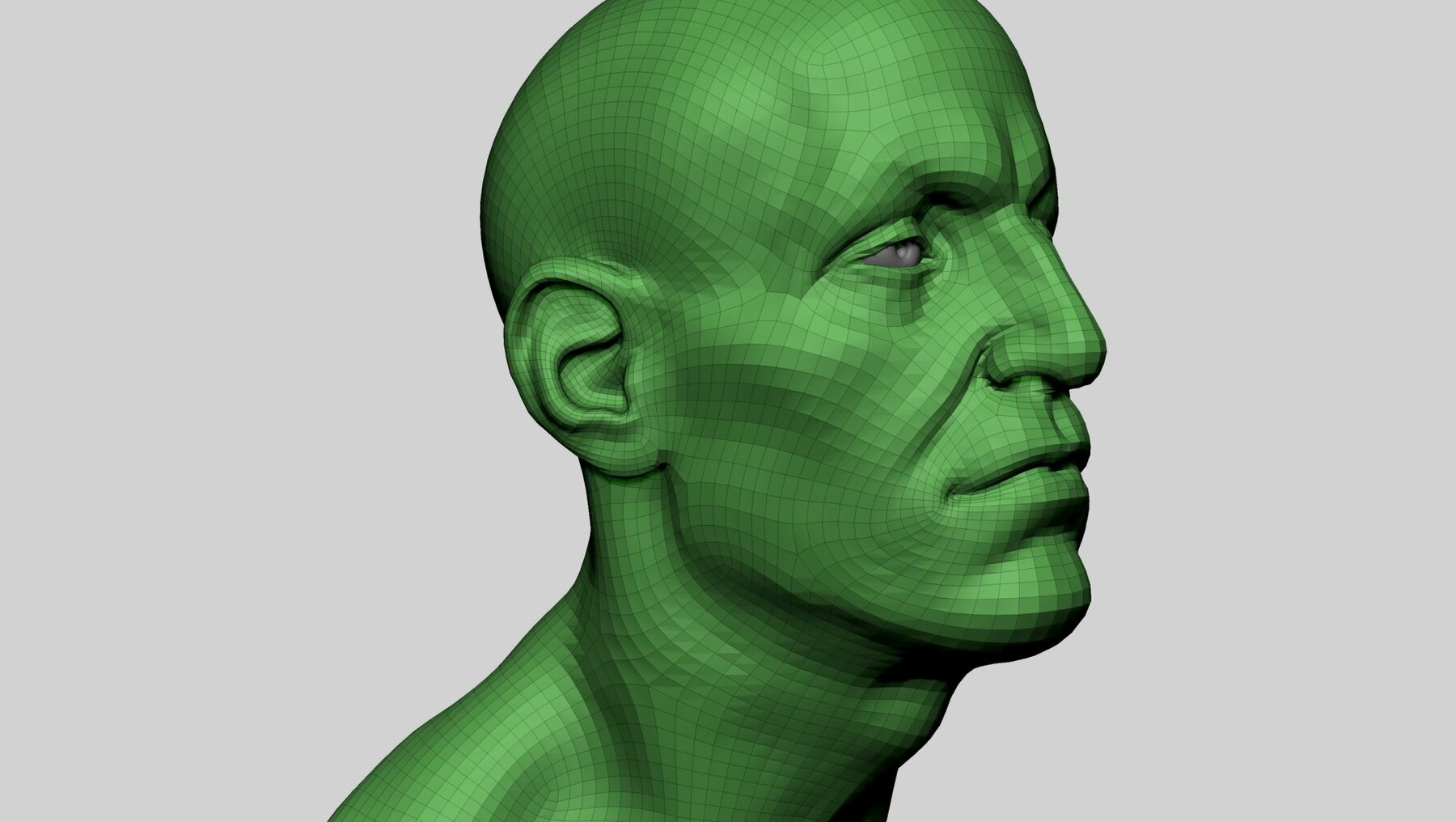ArtStation - Male Head Anatomy | Resources