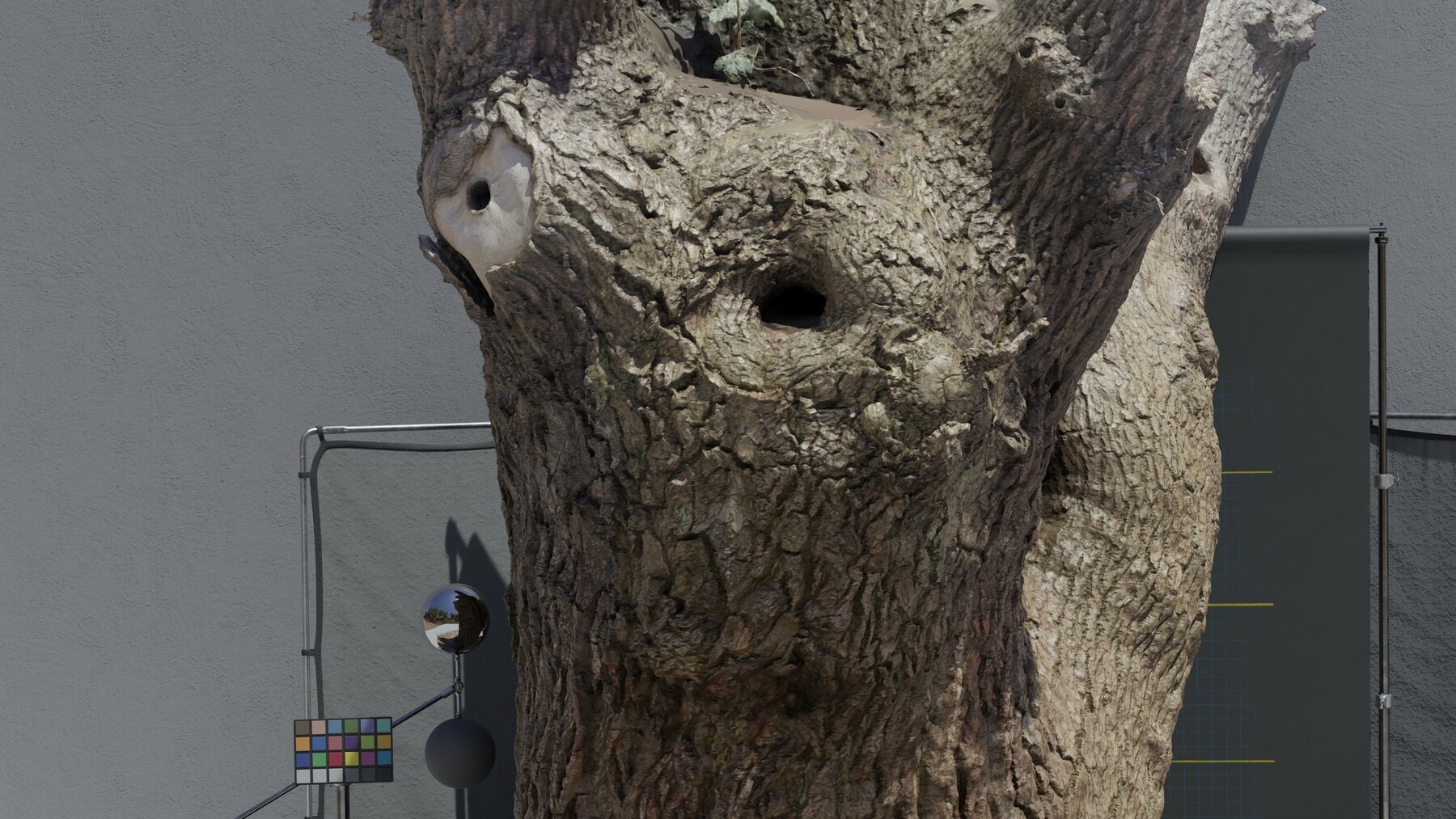 ArtStation - Oak Tree 'Owl' Photogrammetry | Game Assets