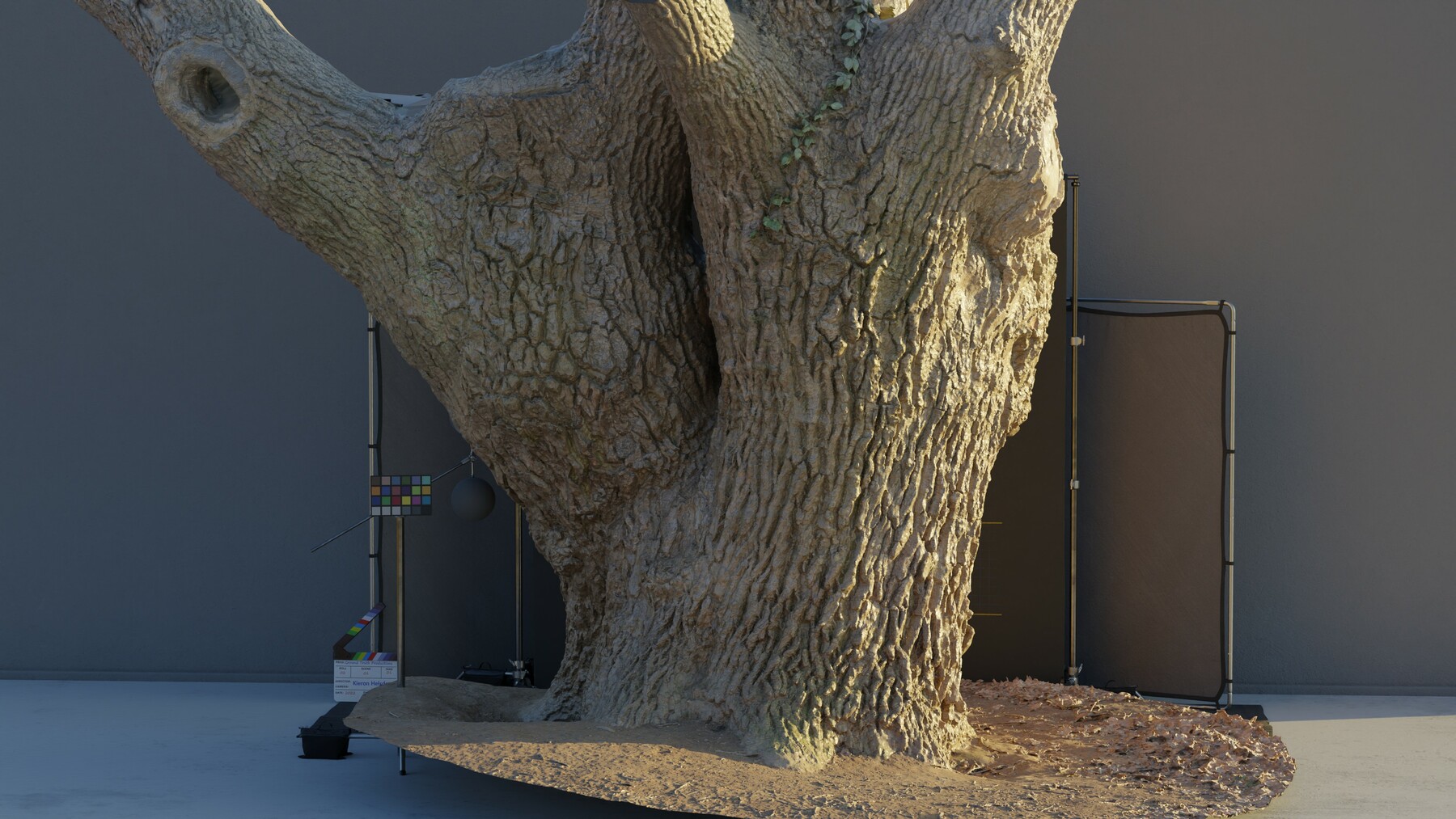 ArtStation - Oak Tree 'Owl' Photogrammetry | Game Assets
