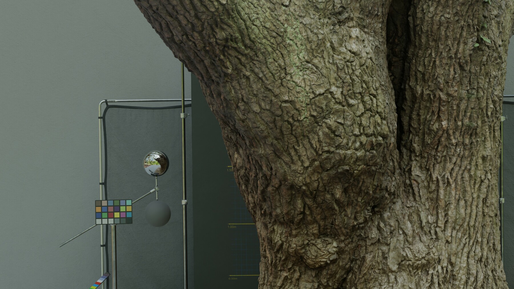 ArtStation - Oak Tree 'Owl' Photogrammetry | Game Assets