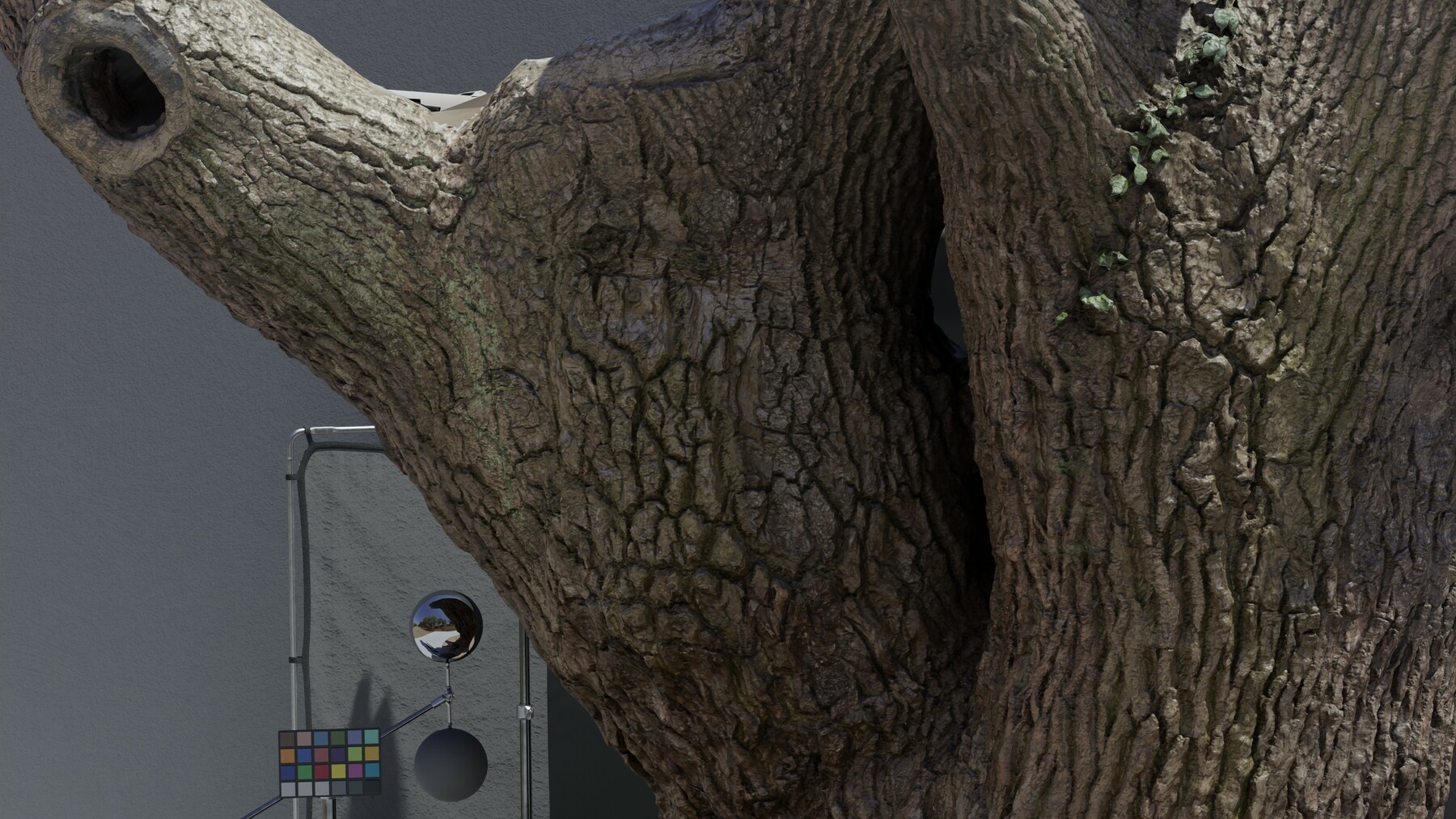 ArtStation - Oak Tree 'Owl' Photogrammetry | Game Assets