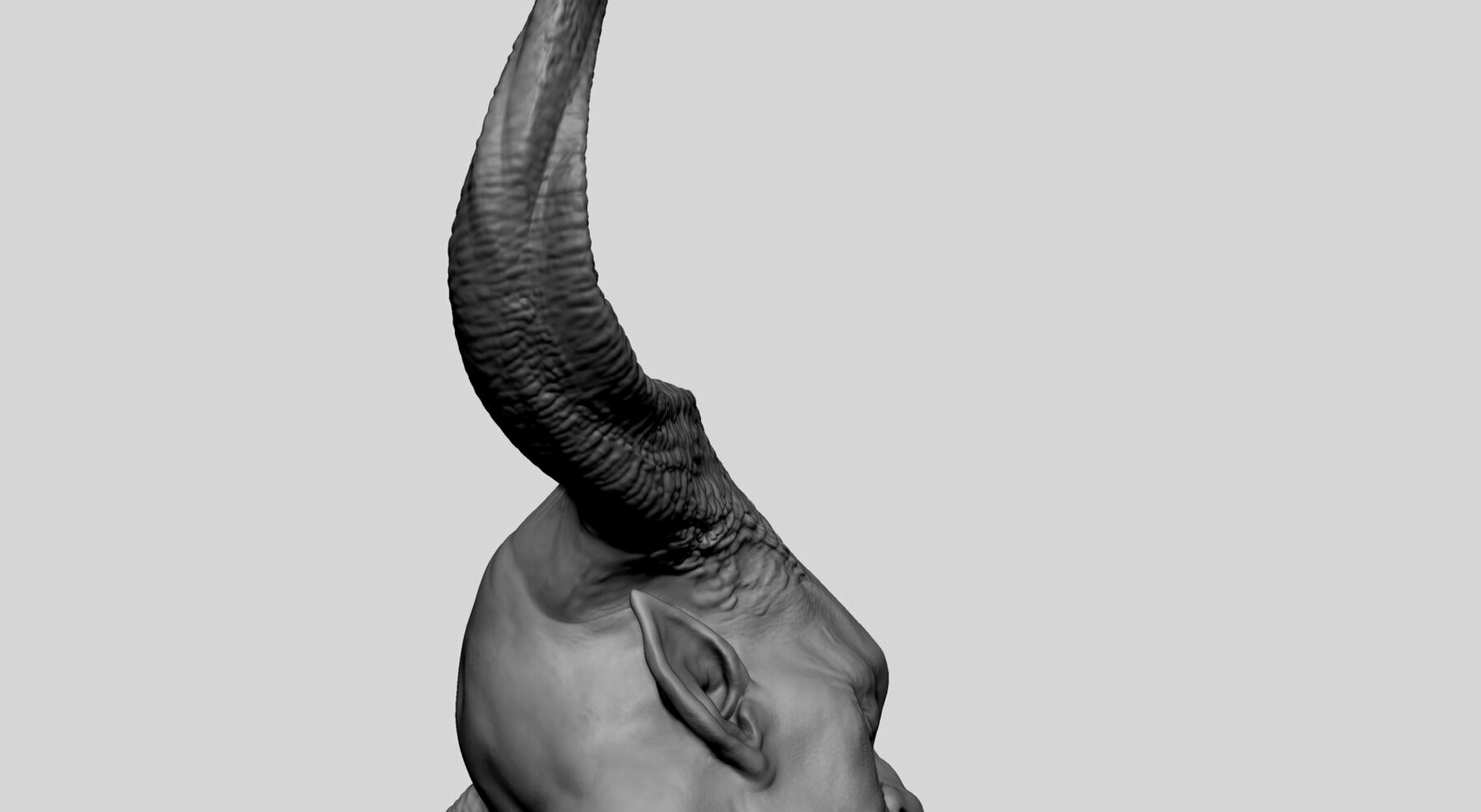 ArtStation - Fantasy Creature Head 08 | Resources