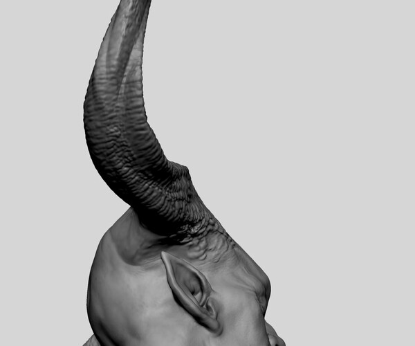 ArtStation - Fantasy Creature Head 08 | Resources