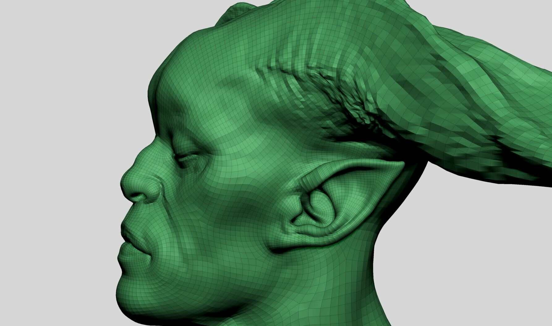 ArtStation - Fantasy Creature Head 08 | Resources