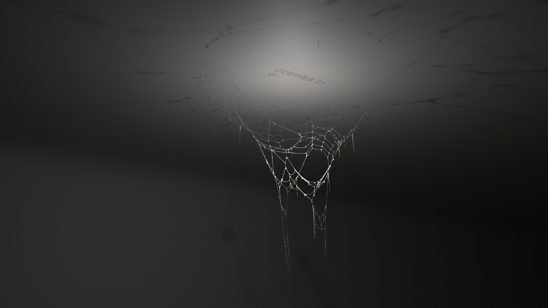 ArtStation - 40 High Detailed Cobwebs | Resources