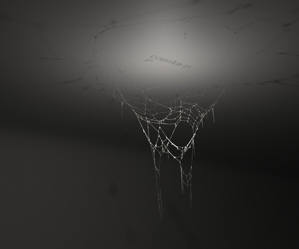 ArtStation - 40 High Detailed Cobwebs | Resources