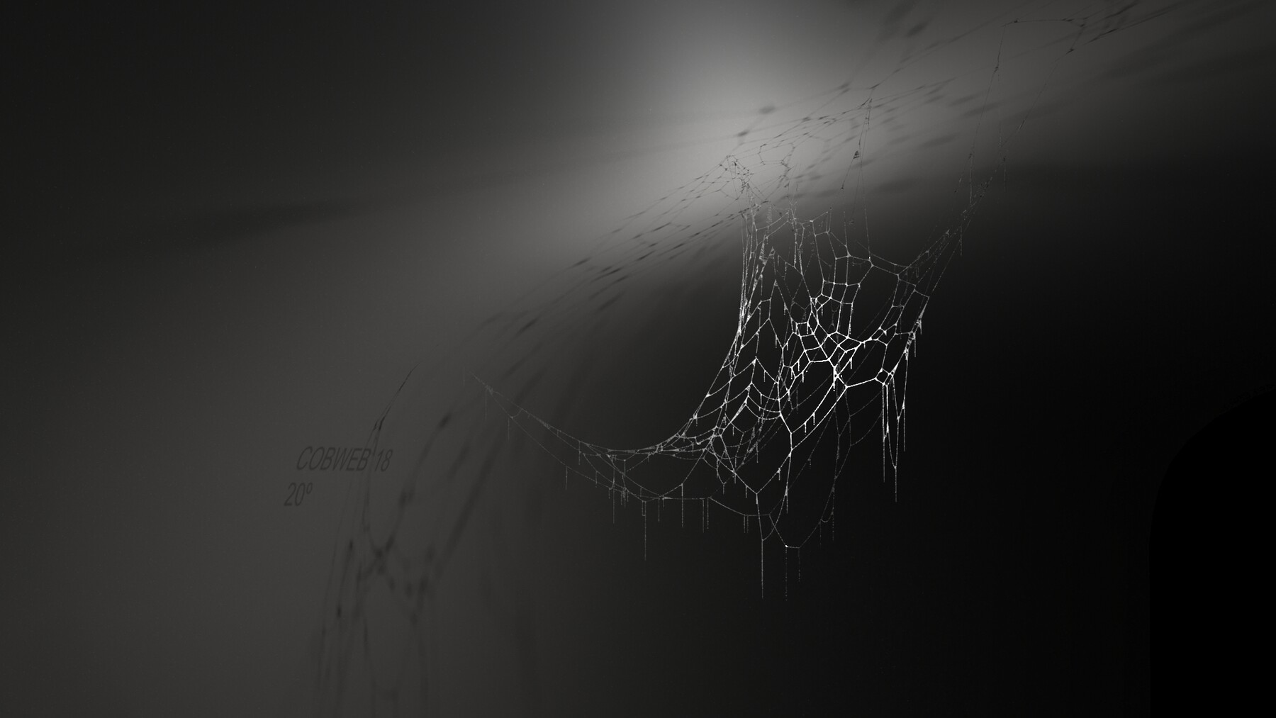 ArtStation - 40 High Detailed Cobwebs | Resources