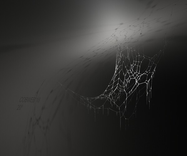 ArtStation - 40 High Detailed Cobwebs | Resources