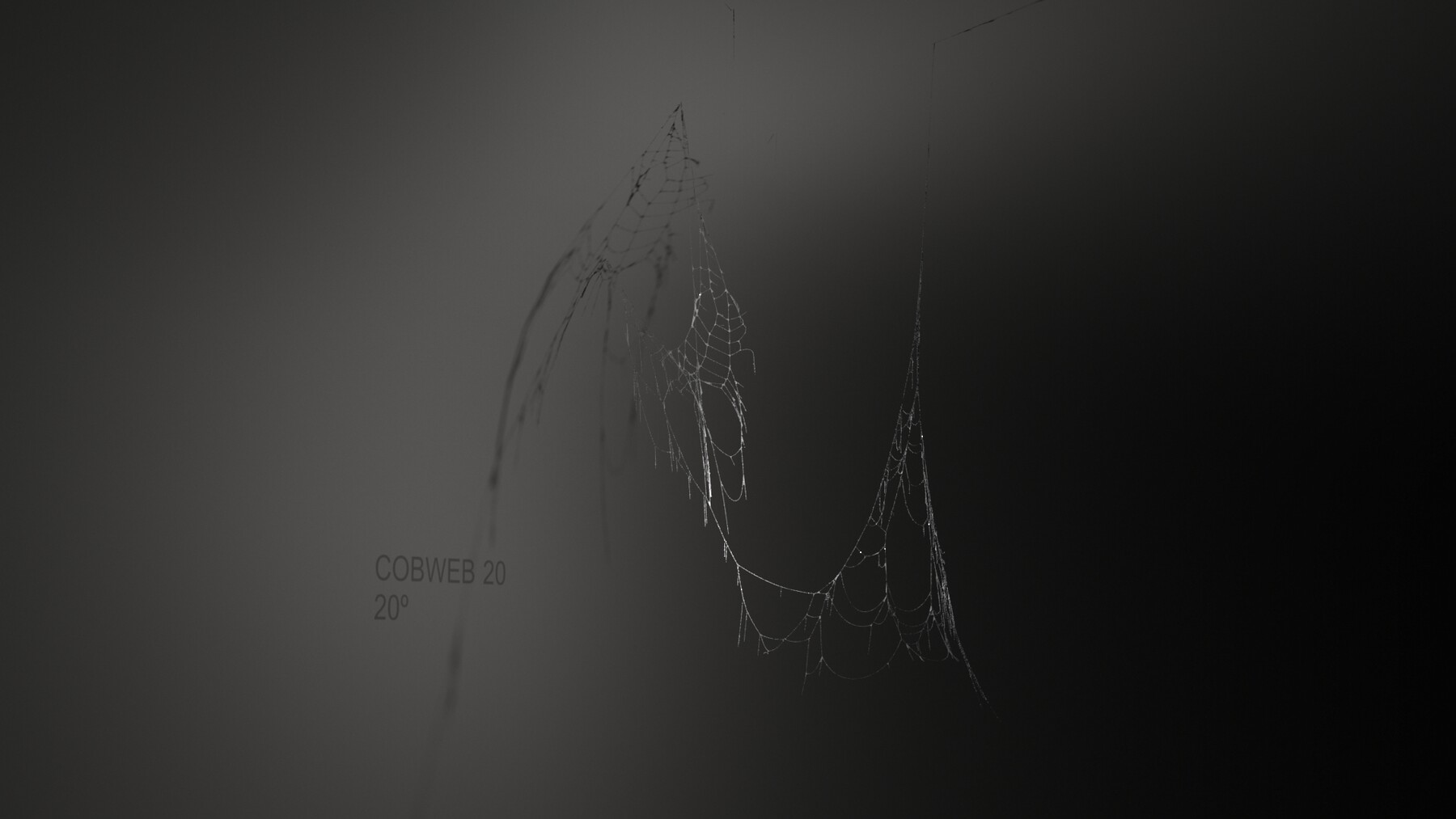 ArtStation - 40 High Detailed Cobwebs | Resources
