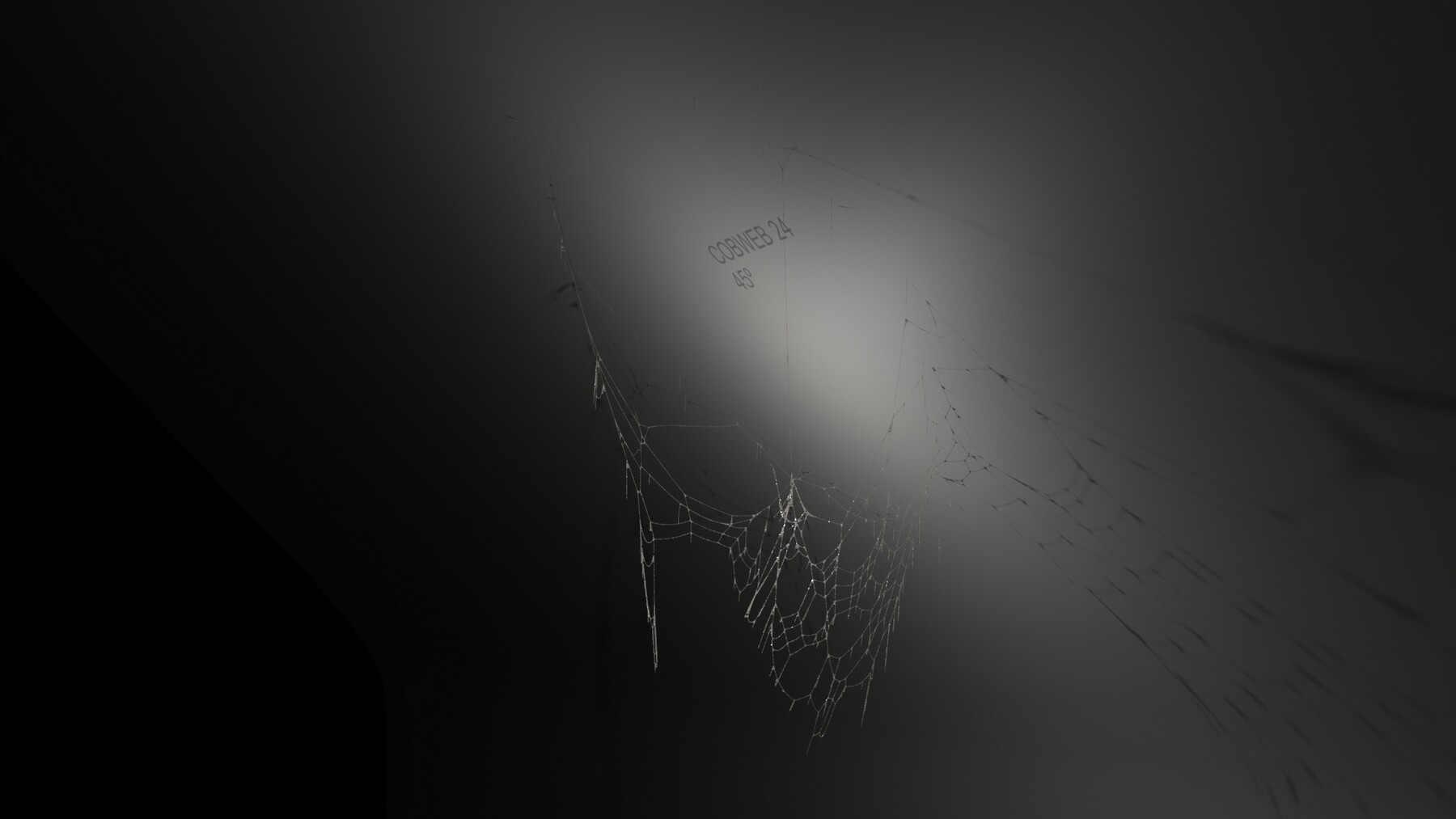 ArtStation - 40 High Detailed Cobwebs | Resources