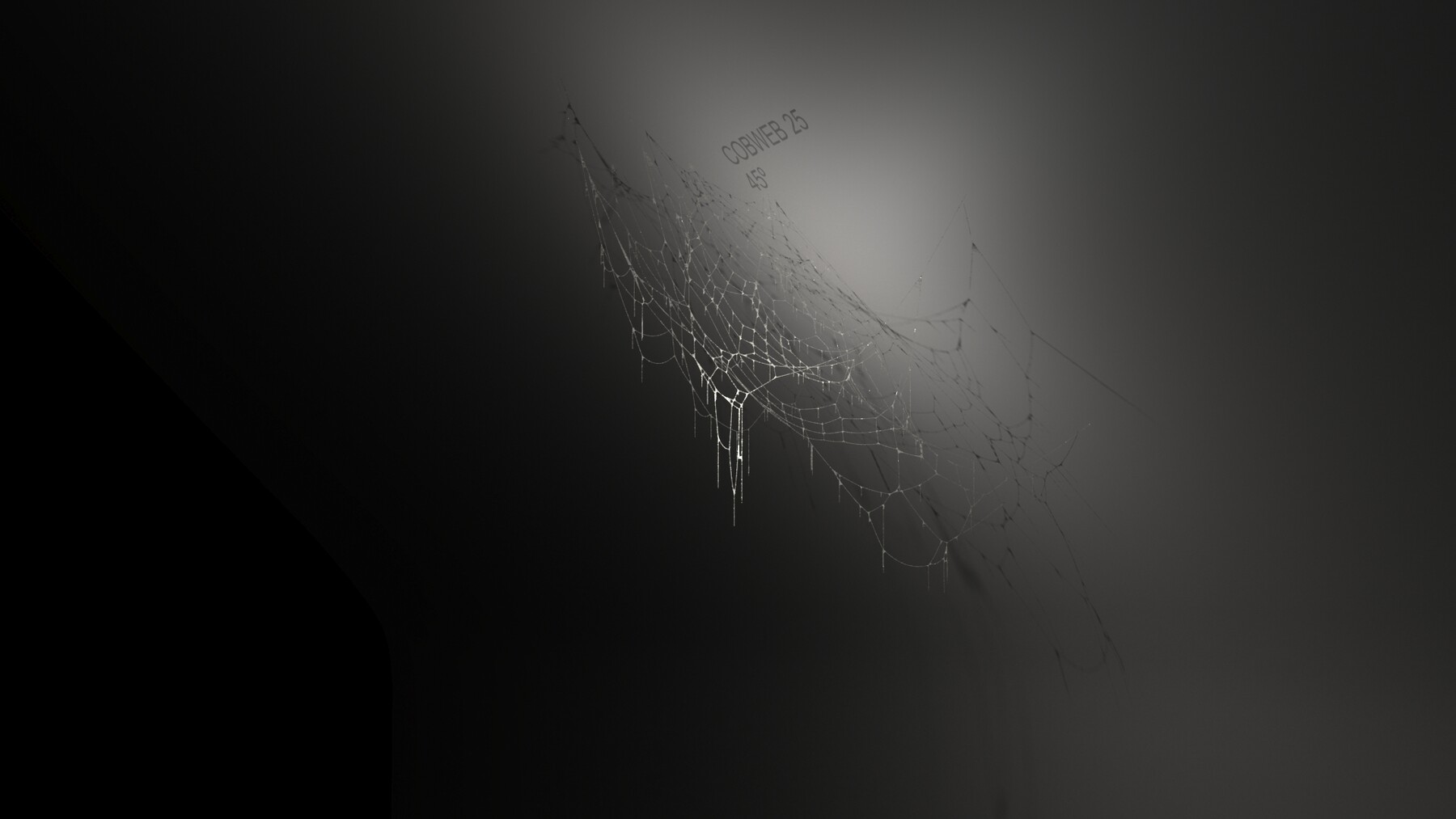 ArtStation - 40 High Detailed Cobwebs | Resources