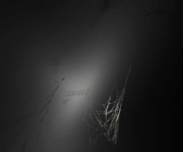 ArtStation - 40 High Detailed Cobwebs | Resources