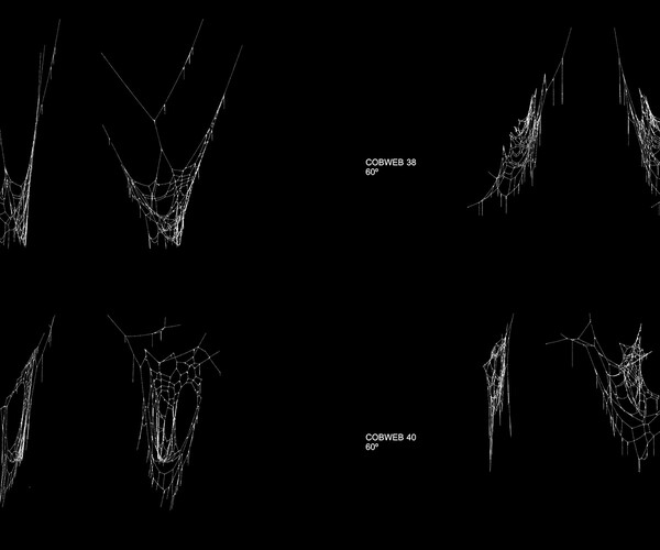 ArtStation - 40 High Detailed Cobwebs | Resources