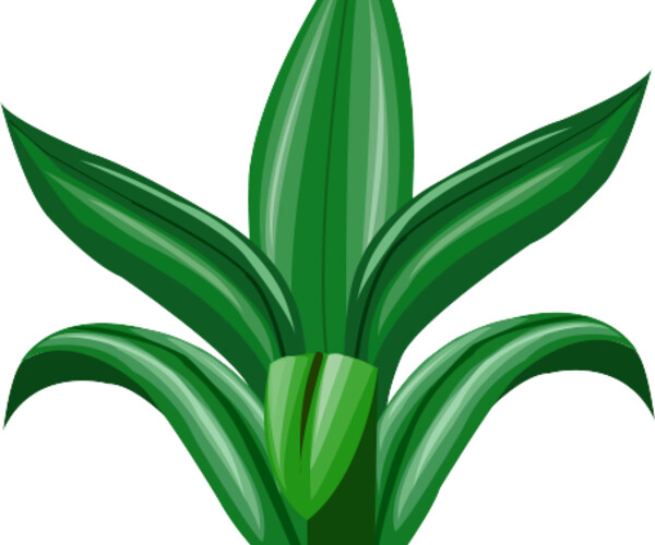 ArtStation - Plant 2D | Artworks