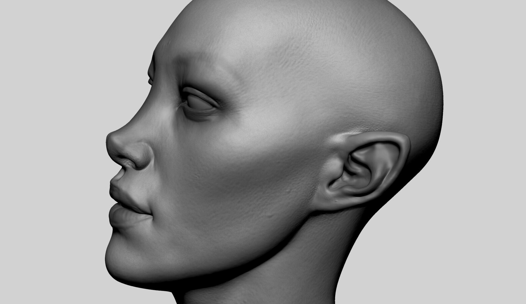 ArtStation - Female Head 14 | Resources