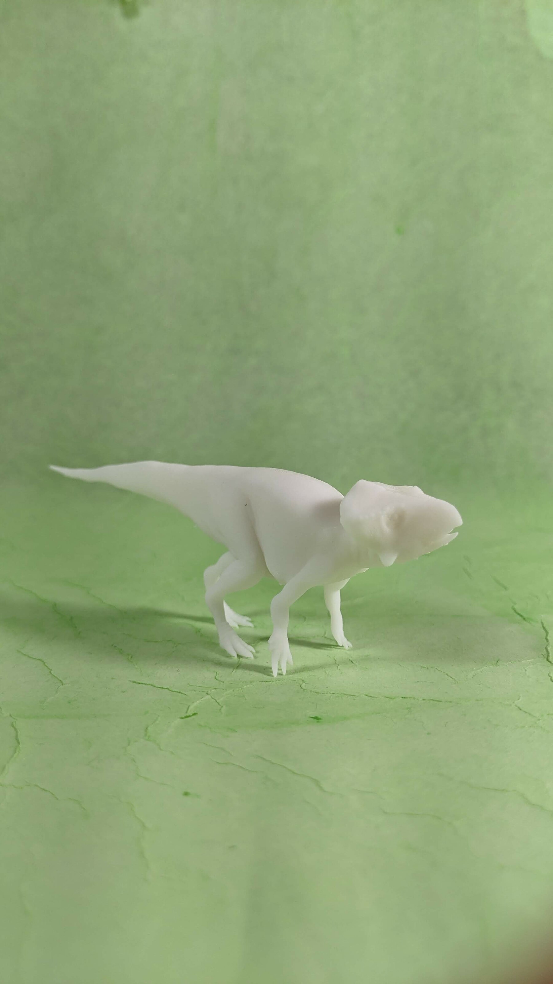 ArtStation - Microceratops/Graciliceratops model | Resources