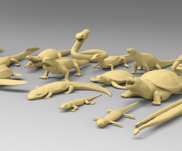 ArtStation - 25 Basemesh reptile collection | Resources