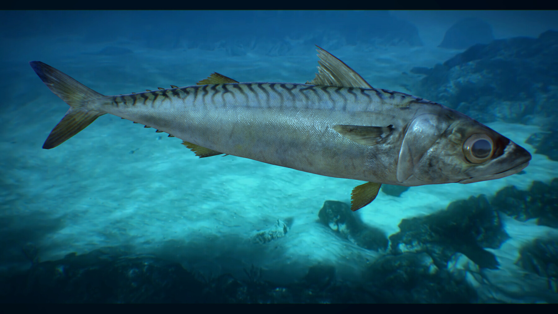 ArtStation - Mackerel Fish | Game Assets