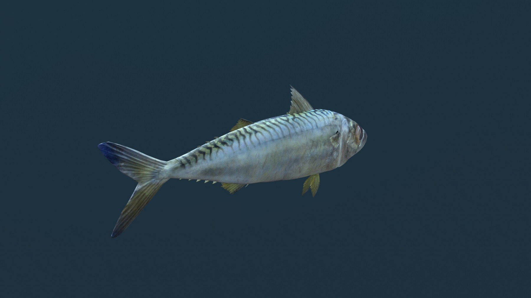 ArtStation - Mackerel Fish | Game Assets