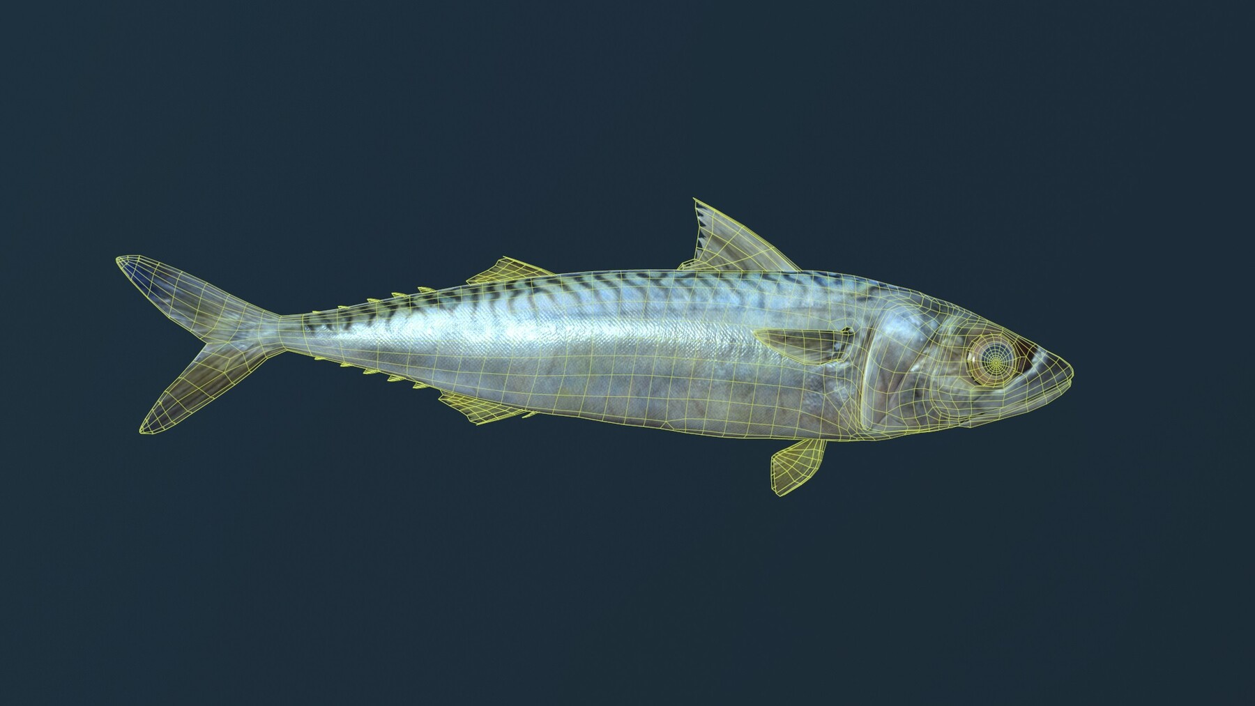 ArtStation - Mackerel Fish | Game Assets