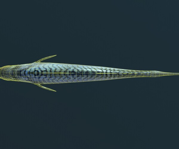 ArtStation - Mackerel Fish | Game Assets