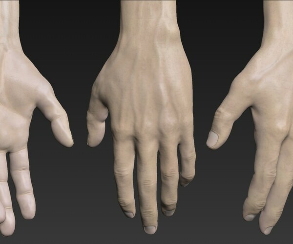 ArtStation - Realistic Hands | Game Assets