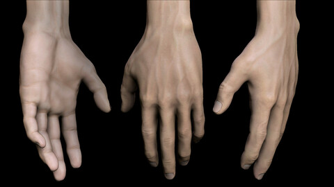 ArtStation - Realistic Hands | Game Assets