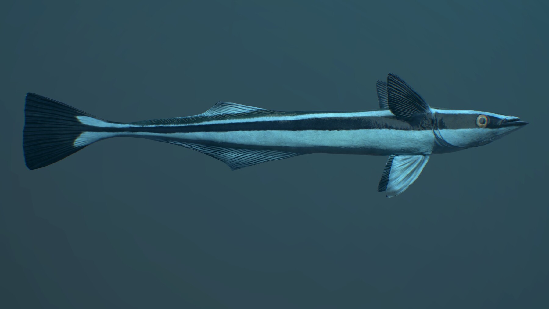 ArtStation - Remora Fish | Game Assets